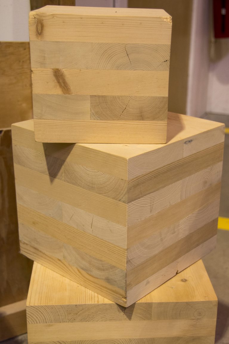 Study shows engineered wood is more microbe-resistant than plastic ...