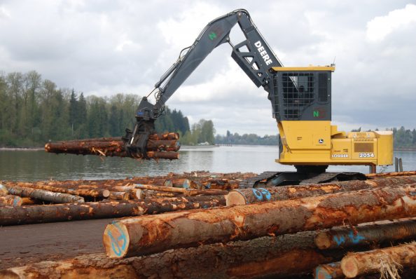 Losses mount for timber companies in Alaska amid China’s import ban ...