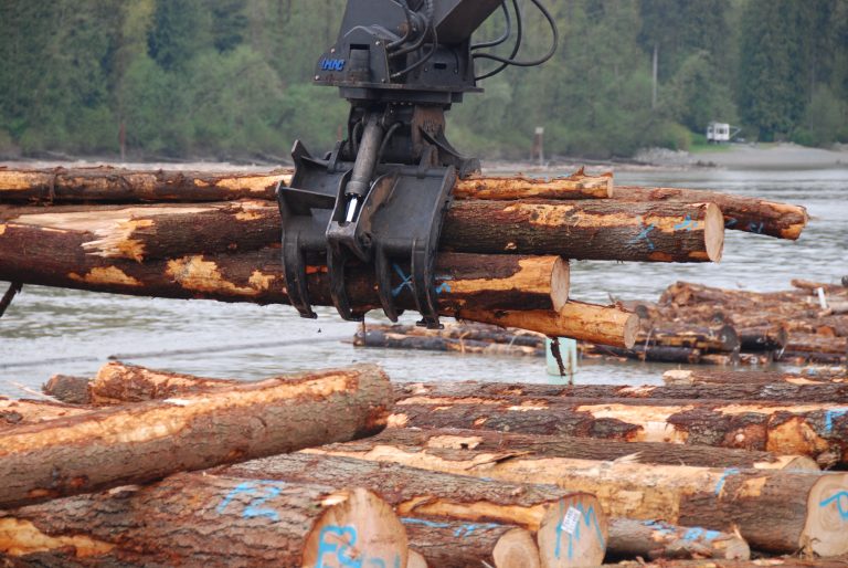 Log bundles end up on Parksville Qualicum Beach beaches after rough ...