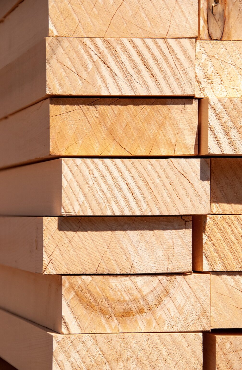 UK Softwood Update: June sees cracks in structural softwood demand ...