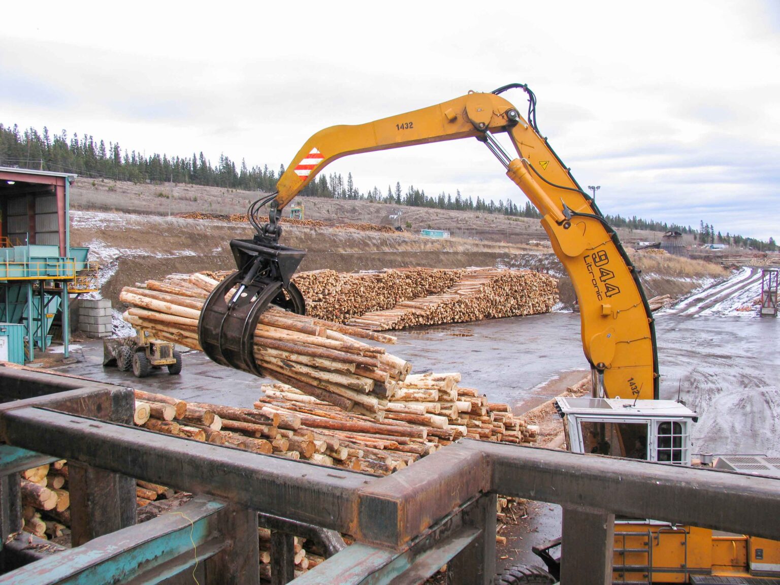 B.C. Government says it’s acting on BC Timber Sales review - Tree Frog ...