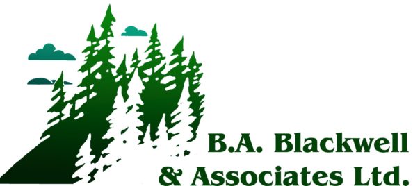Getting To The Heart – The BC Timber Sales Review - Tree Frog creative