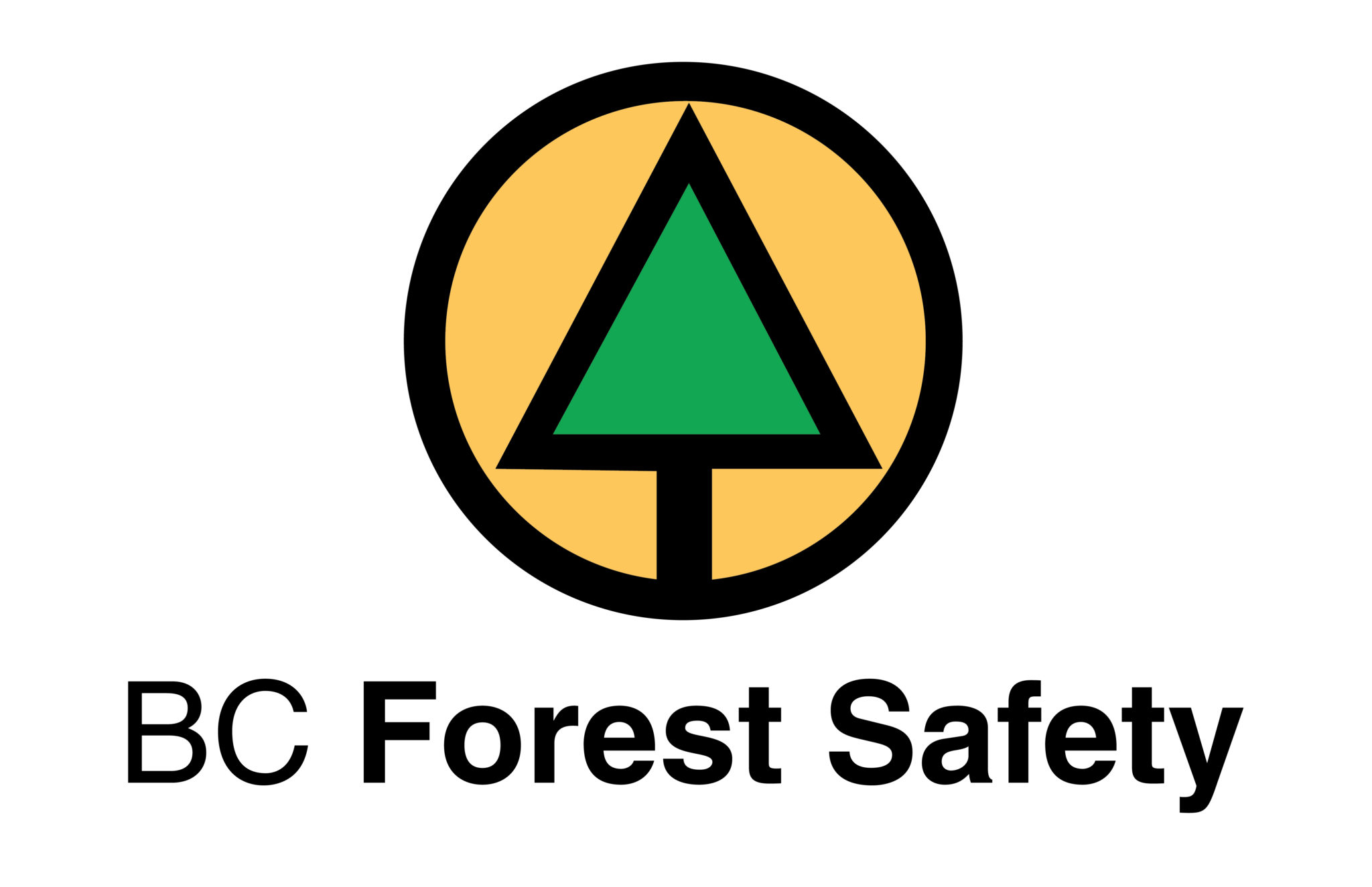 354-year-old forest found in Algonquin Park - Tree Frog creative