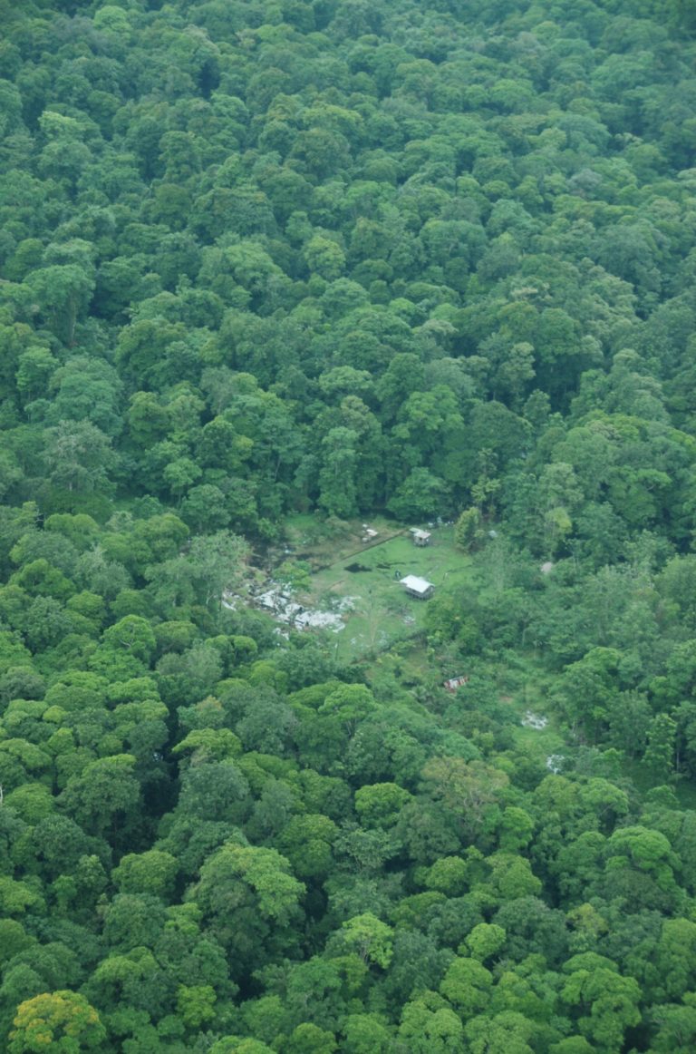 Pulp and paper giant APRIL’s supplier choices put FSC remedy process to ...