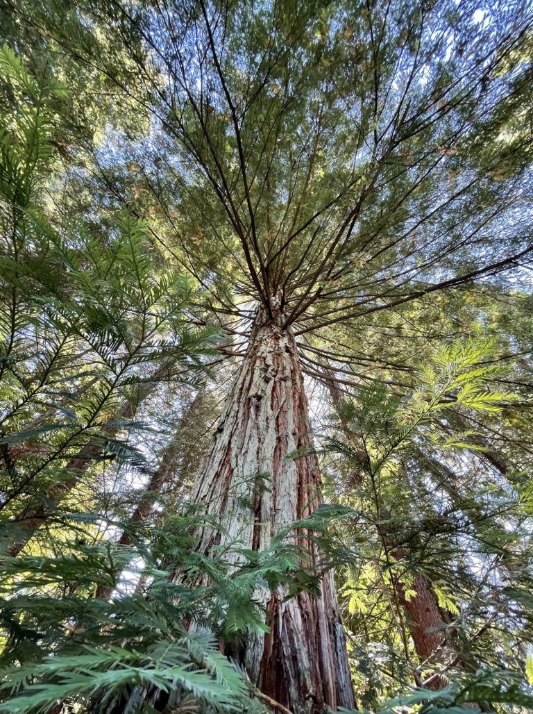 Map reveals Nevada public land targeted for sale in Republican senator ...