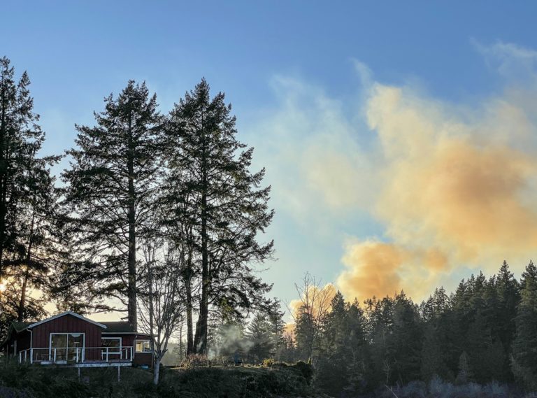 Wildfire in Nova Scotia grows; cooler temperatures help firefighters in ...