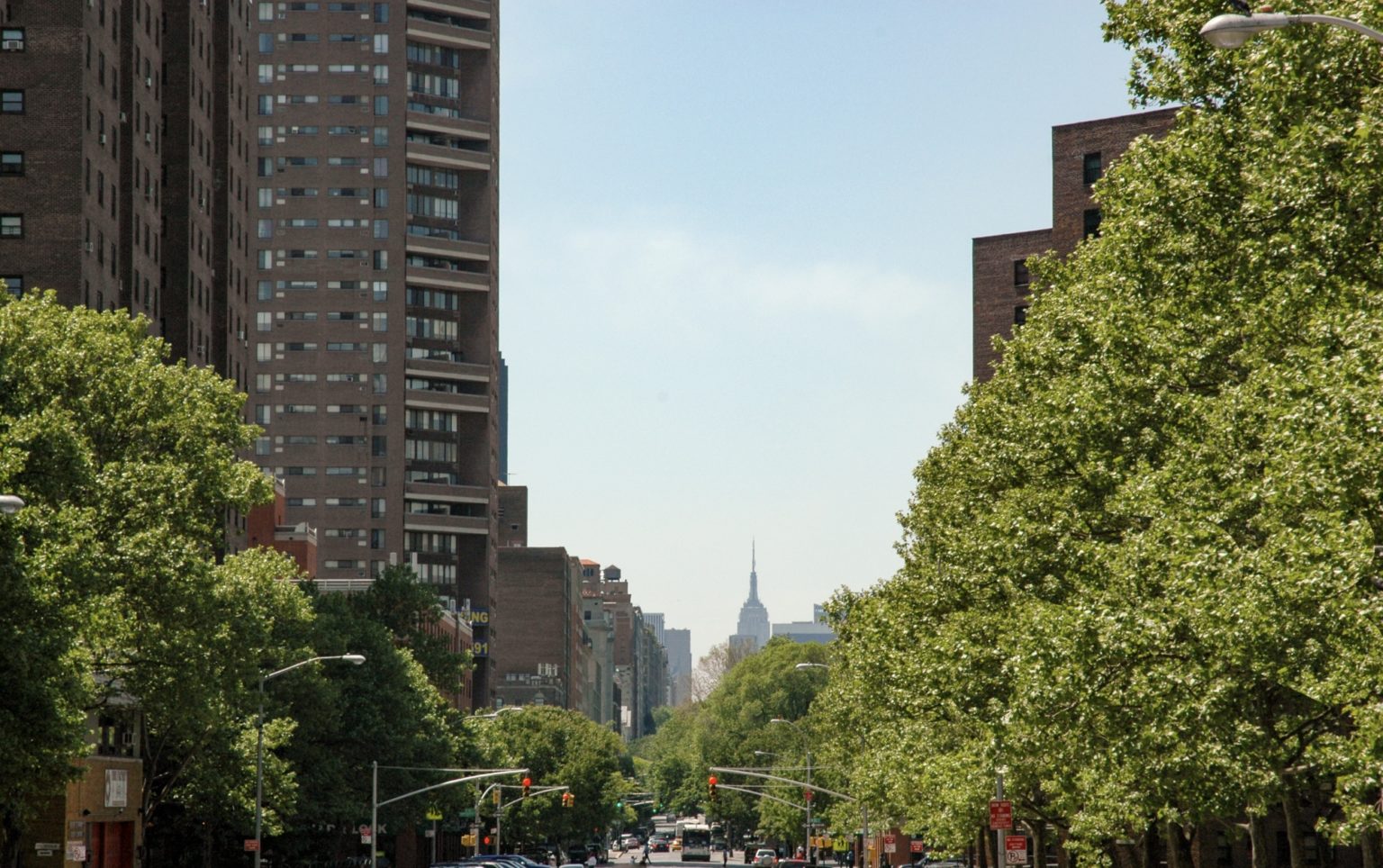 New York launches 'Tree Tracker' as part of quest for 25 million trees ...