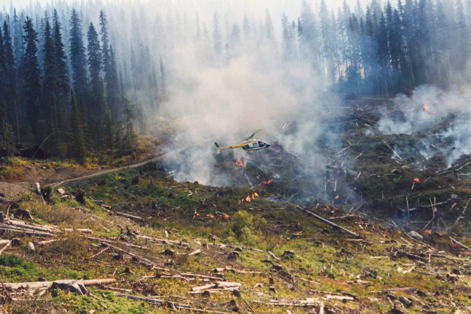 ‘It’s an evolving relationship’: Prescribed fire gains renewed ...