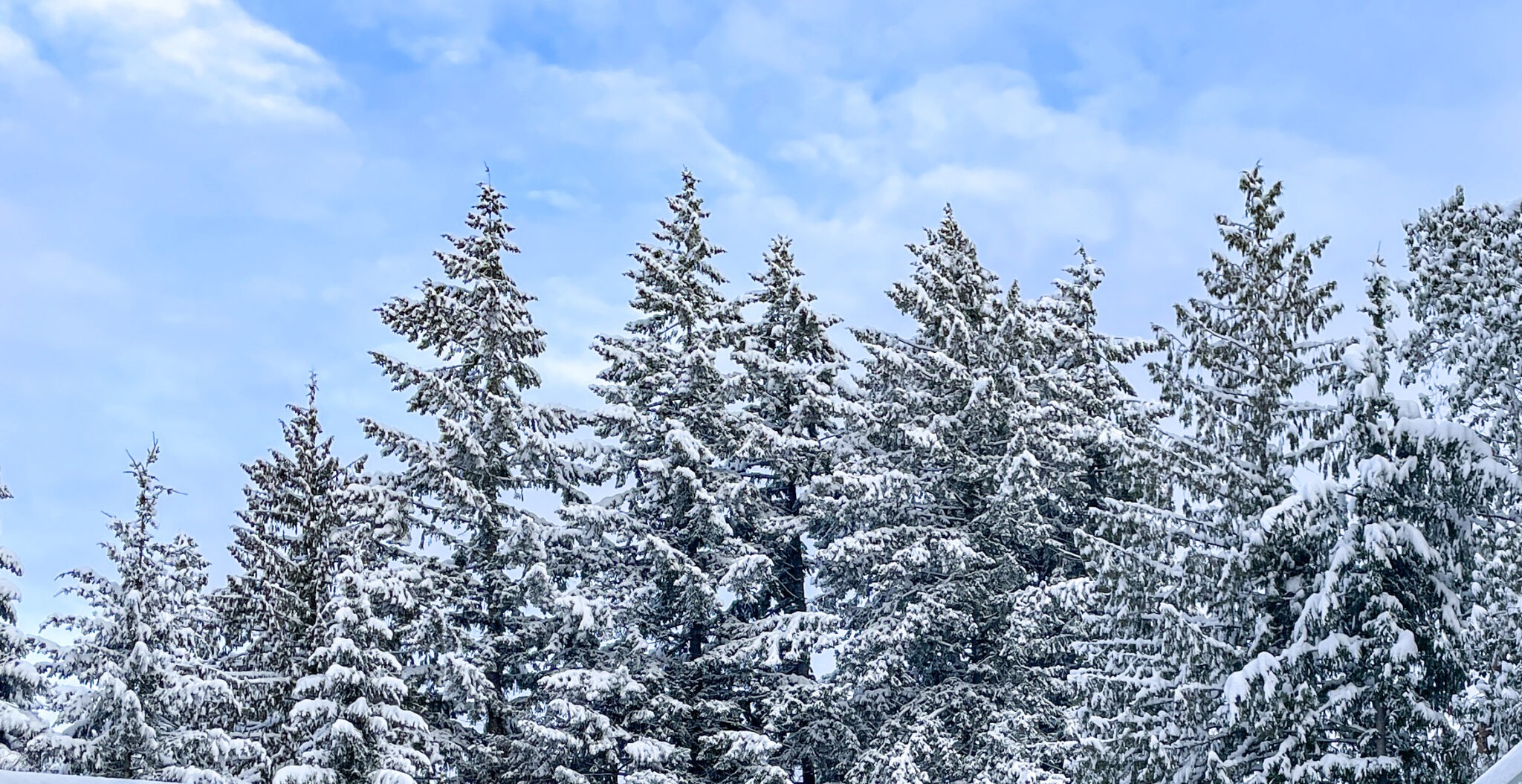 Alaska State Forestry & Fire Department partner to reduce risk of ...