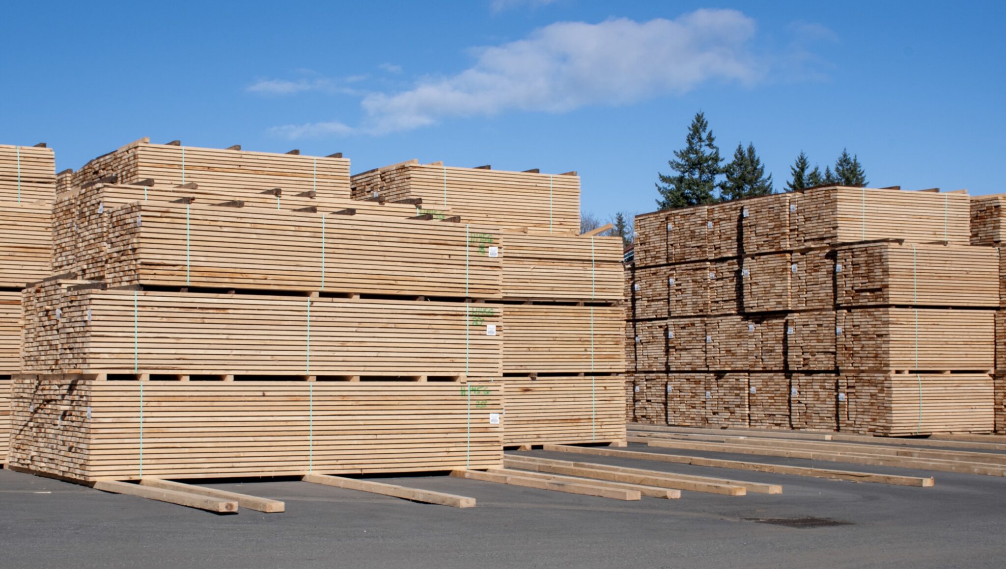 Canada weighs limits on US lumber exports to ease trade friction, BC ...