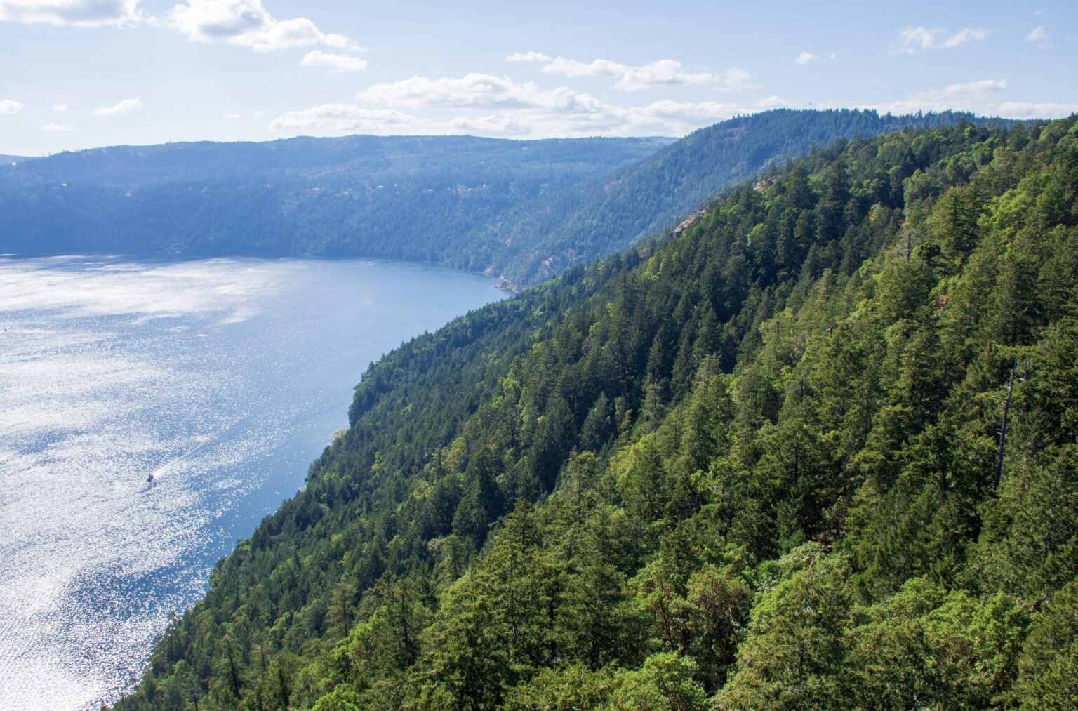 Islands Trust has lost sight of its original purpose - Tree Frog creative