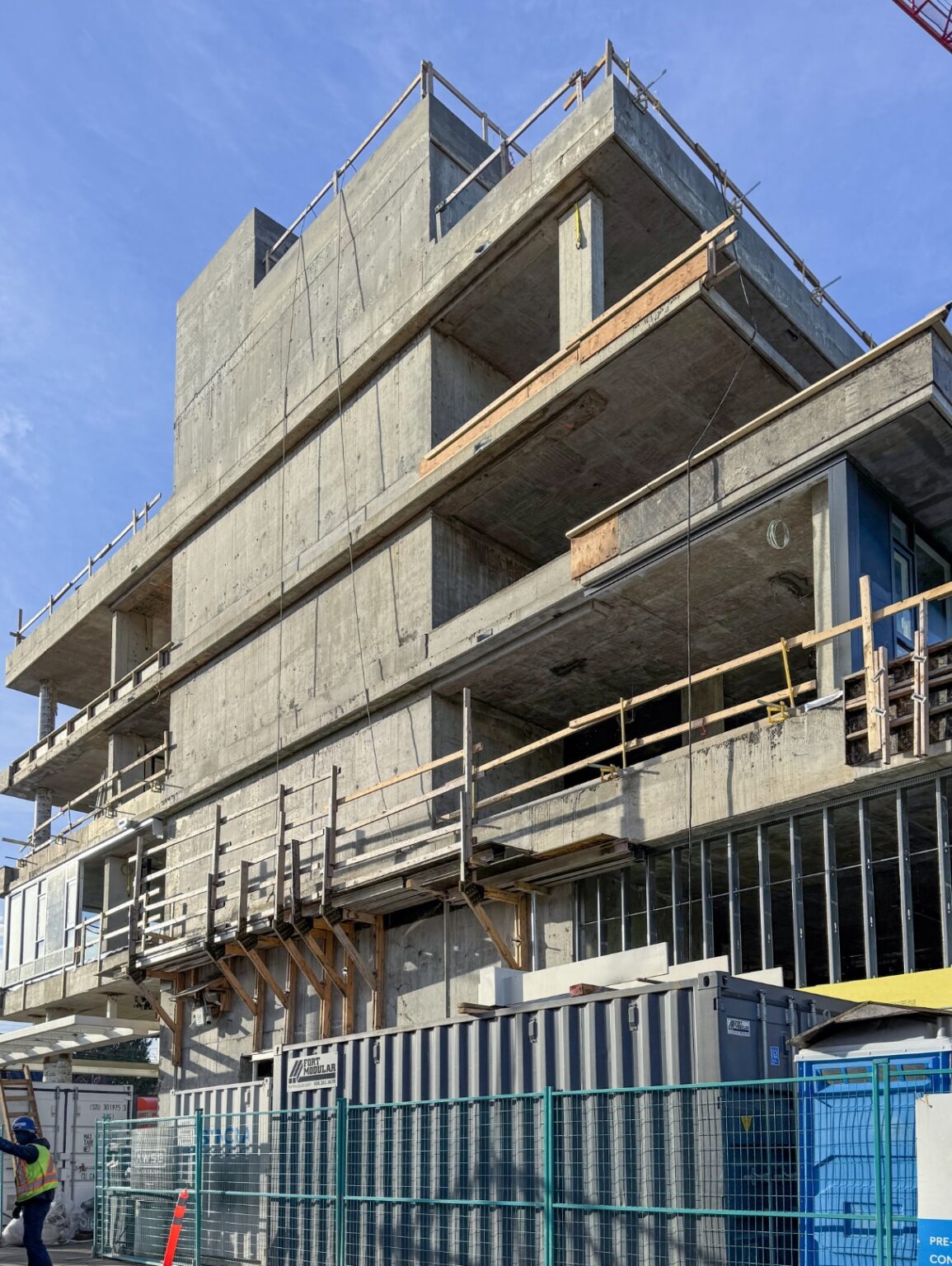 Tree Frog Forestry News - Tree Frog creative