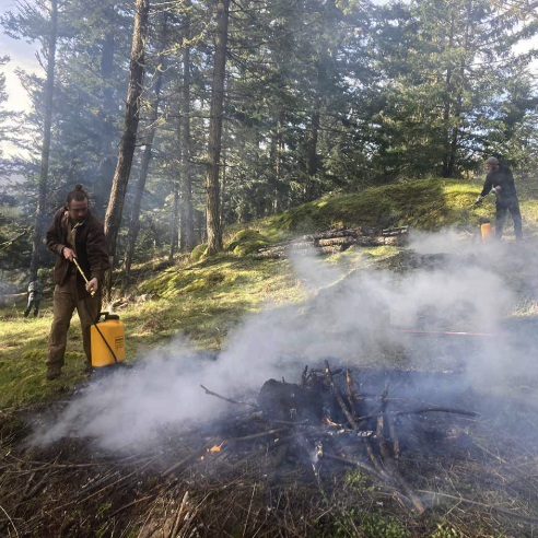 Stanford study finds surprising upside of prescribed burns - Tree Frog ...