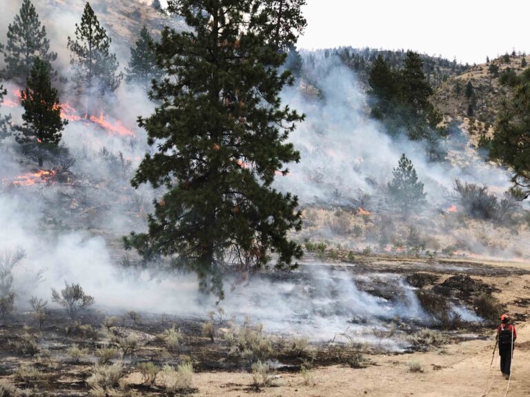 Data capturing hot spots and burned acres show Canada wildfire season ...