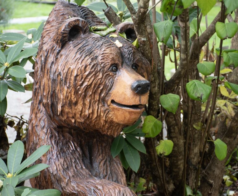 Rush to Avoid Red Tape Derails Logging Project Near Yellowstone - Tree ...