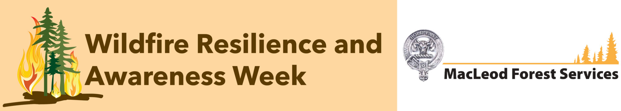 MacLeod Forest Services S100 Wildfire for Industry Training - Tree Frog creative