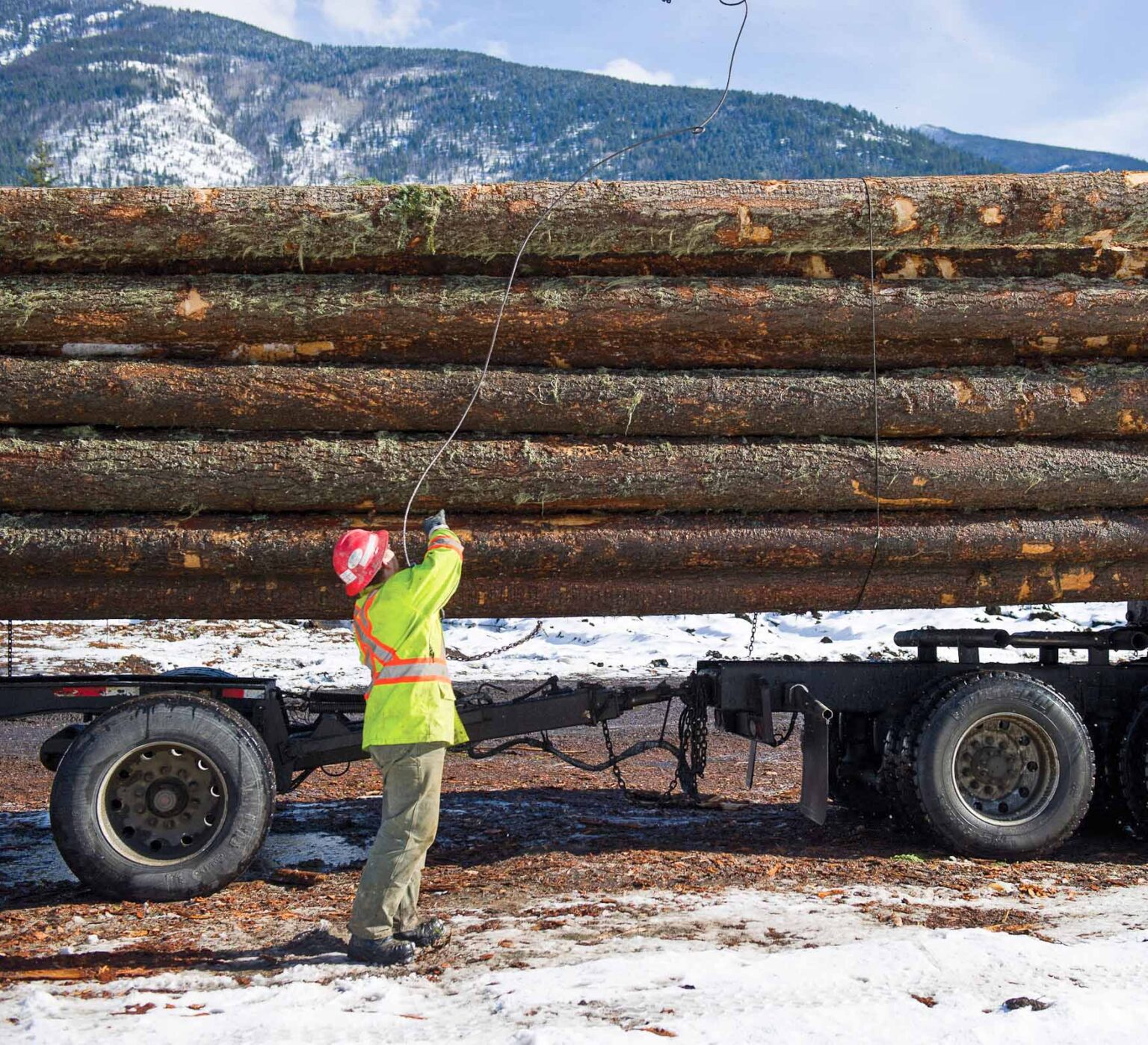 Reducing the Risk of Musculoskeletal Injuries for BC Forestry Workers ...