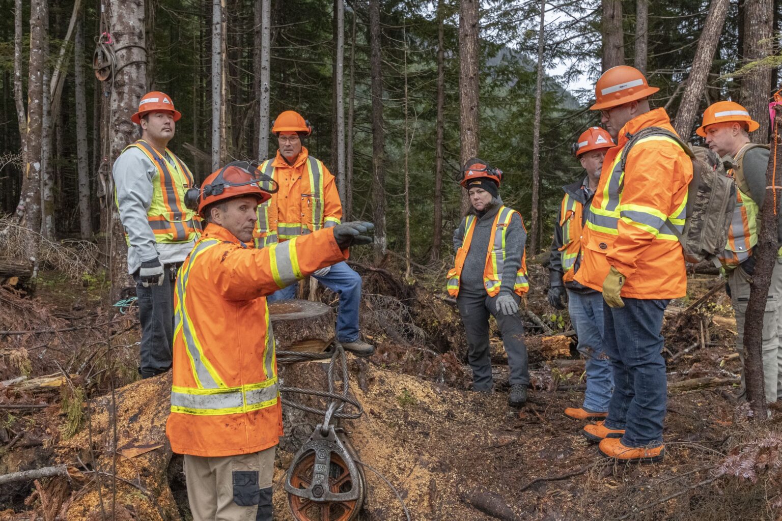 Managing risks in steep slope harvesting: safety in challenging terrain ...
