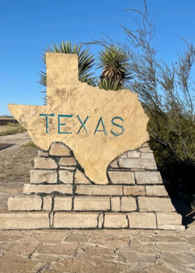 Texas timber industry eyes new opportunities amid steady markets - Tree ...