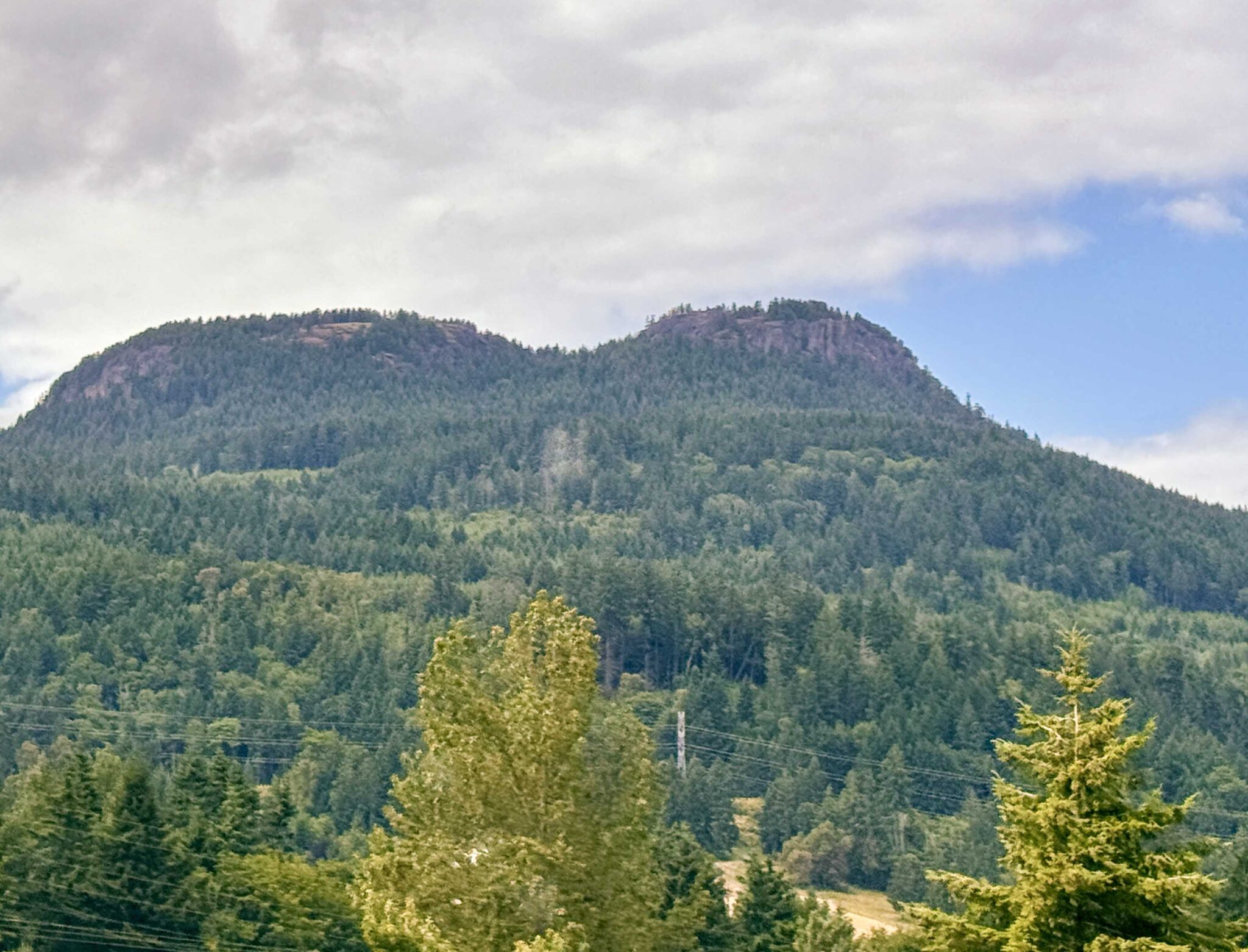 Opinions: North Cowichan Municipal Forest Reserve - Tree Frog creative