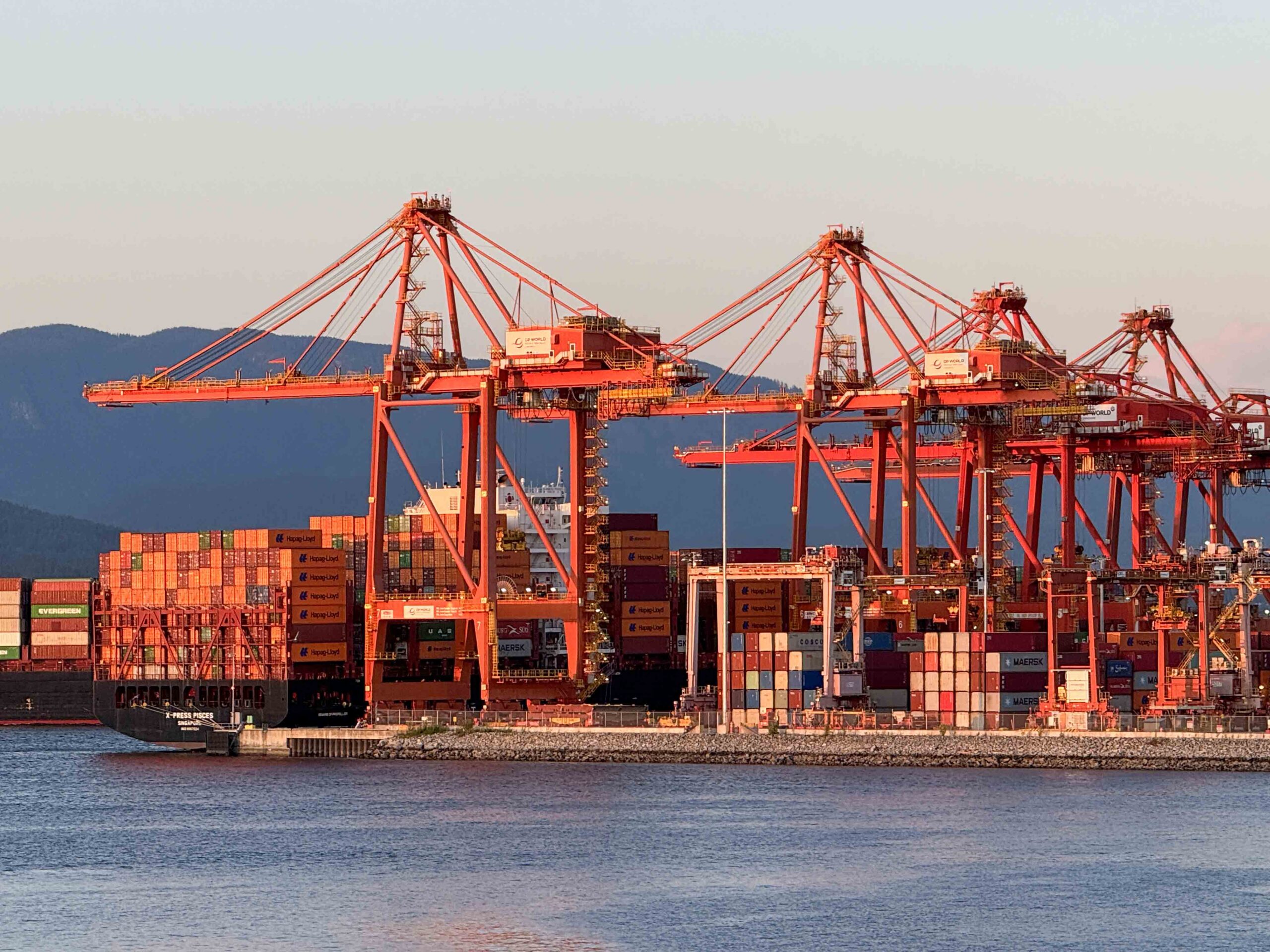 Prices are now starting to rise because of tariffs. Economists say this is just the beginning ...