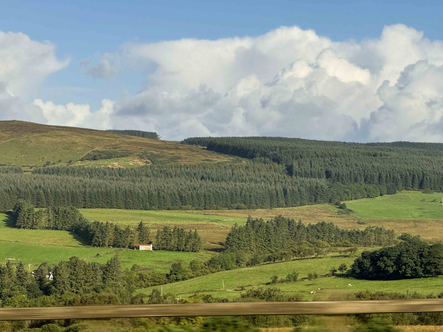 Establishment of Forest Certification Ireland Board a Positive ...