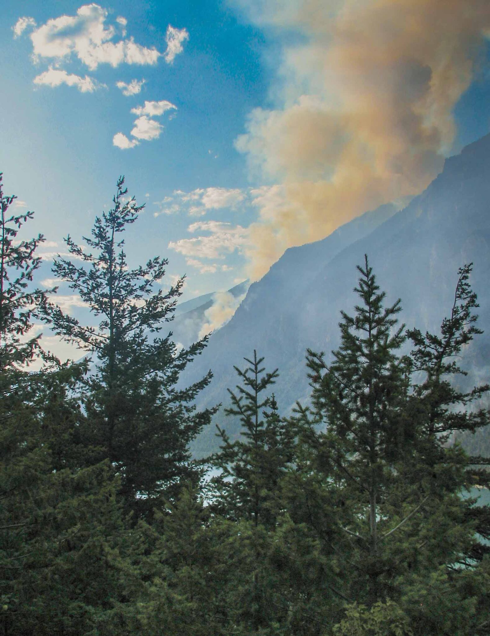 Nearly 200 forest fires fought in northeast B.C. during wildfire season ...