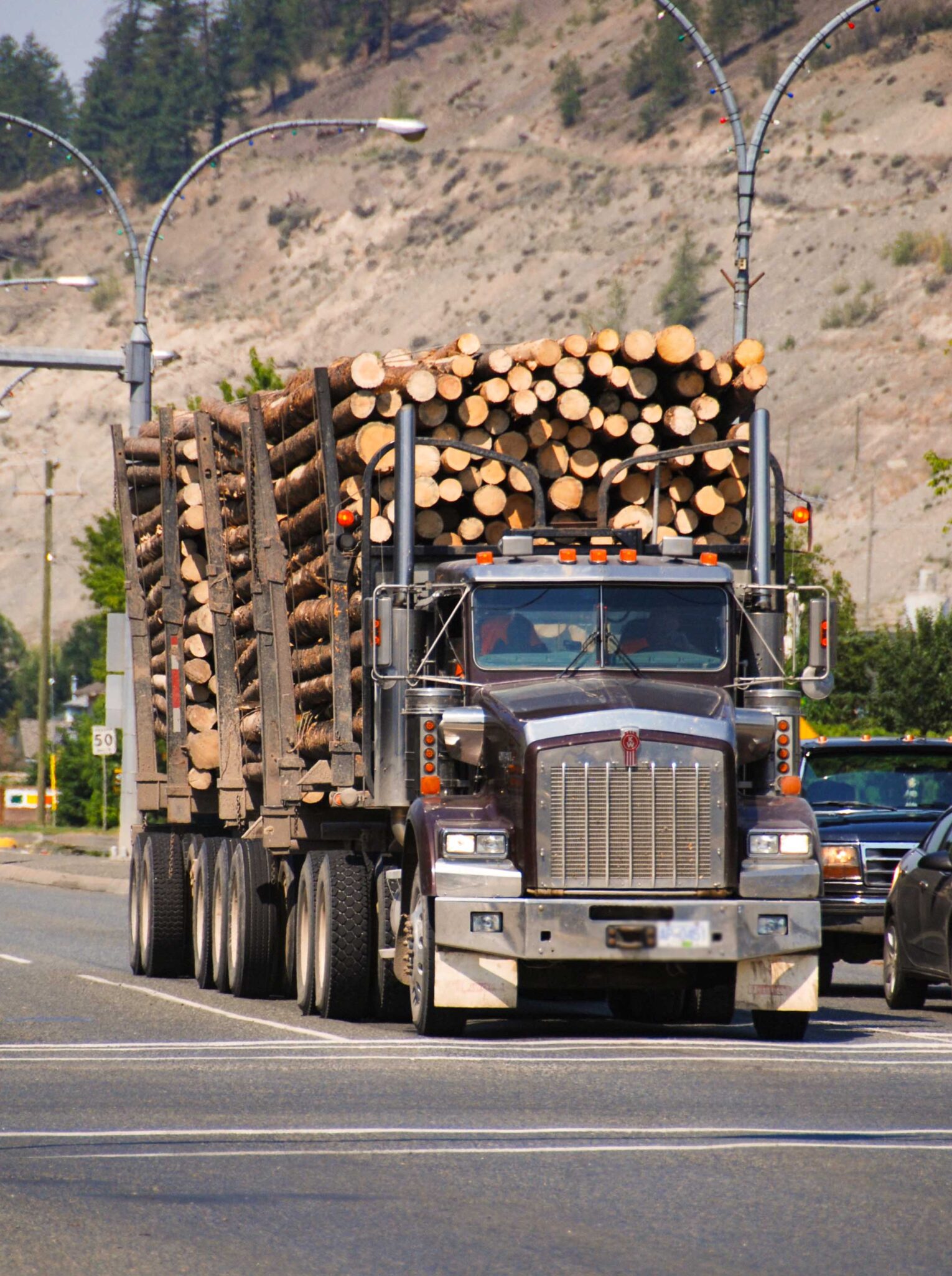 Why a lack of access to timber is leading to B.C. mill closures, job ...