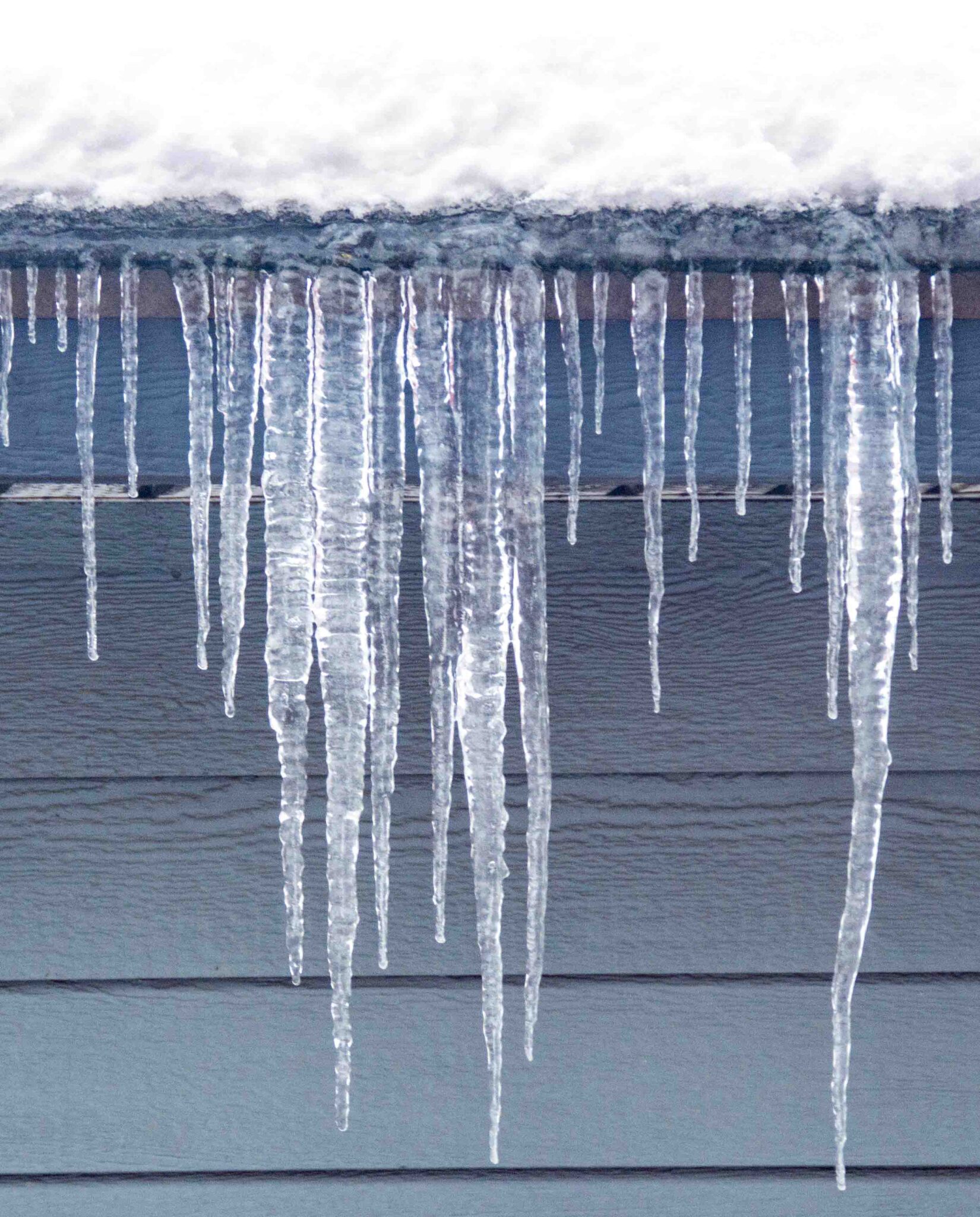 For insurers, climate change is just the tip of the iceberg - Tree Frog ...