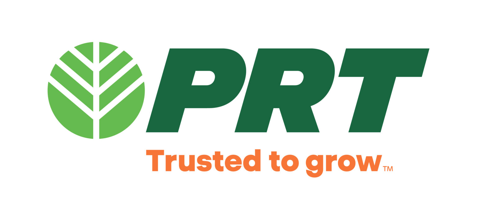 Forest Stewardship Council Launches the FSC Brand Hub - Tree Frog creative